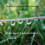 The Friday Reminder and Prompt for #SoCS June 20, 2026